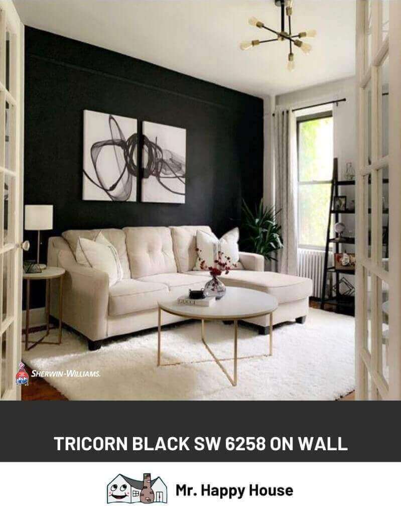 Tricorn Black SW 6258 From Sherwin Williams | Mr. Happy House
